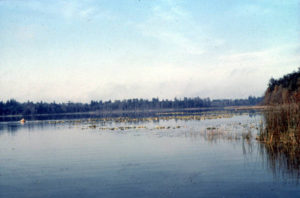 LAKE TERRELL – Discover Whatcom County in 365 Days | Jerry Blankers